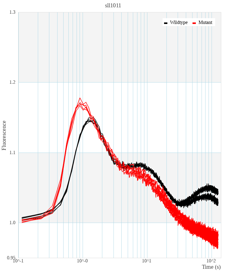 Fluorome - ORF: sll1011 [BOX: 07_A_10] (High light)